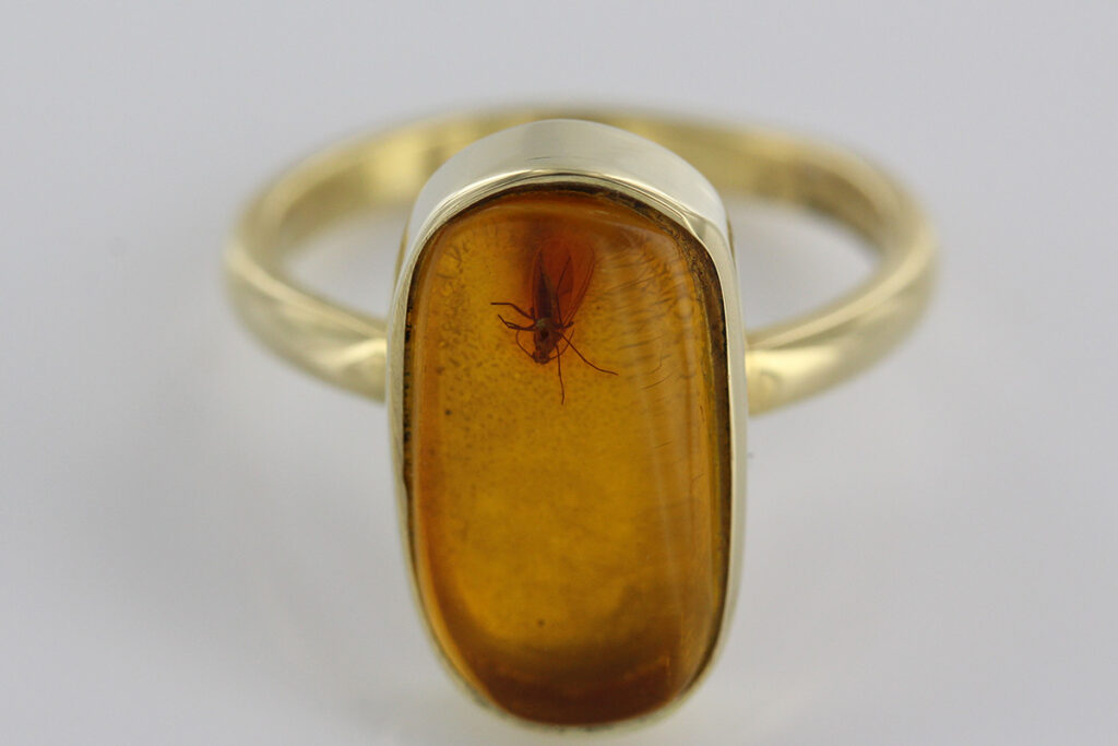 Home - Amber Centre London