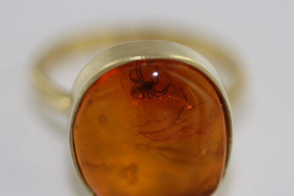 Home - Amber Centre London